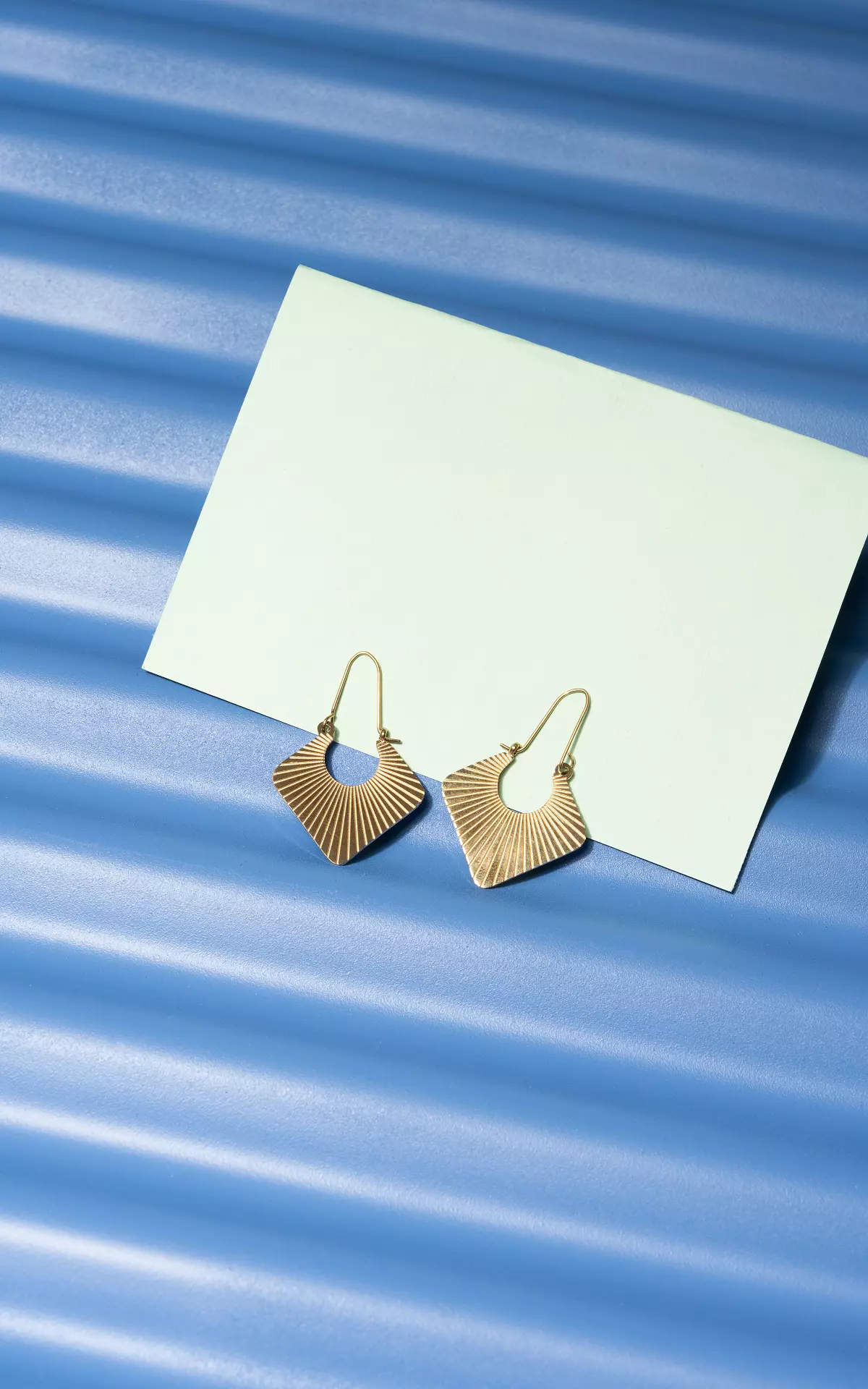 Stainless steel earrings - Gold | Guts & Gusto